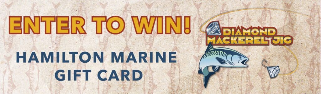 Diamond Mackerel Jig - Hamilton Marine